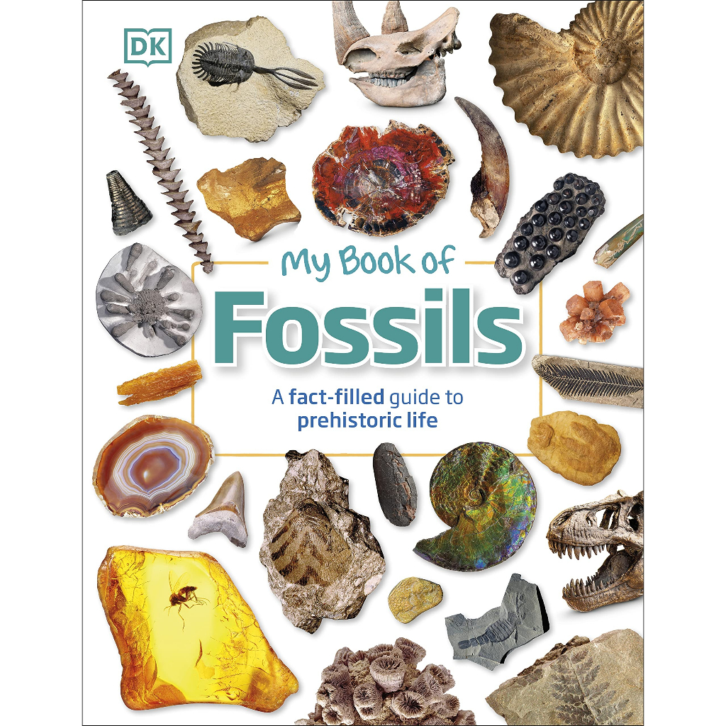 My Book of Fossils DK หนังสือเด็ก ฟอสซิล ซากดึกดำบรรพ์ ยุคก่อนประวัติศาสตร์ ภาษาอังกฤษ ปกแข็ง ...