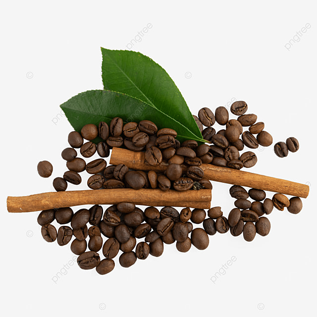 Coffee bean samples 40g. | Shopee Thailand