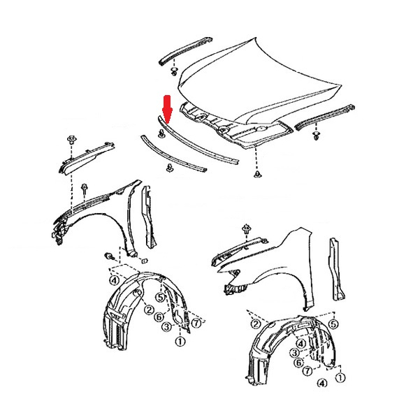 แท้ศูนย์ ยางรองฝากระโปรงหน้า นอก / ใน โตโยต้า แคมรี่ คัมรี่ Toyota ...