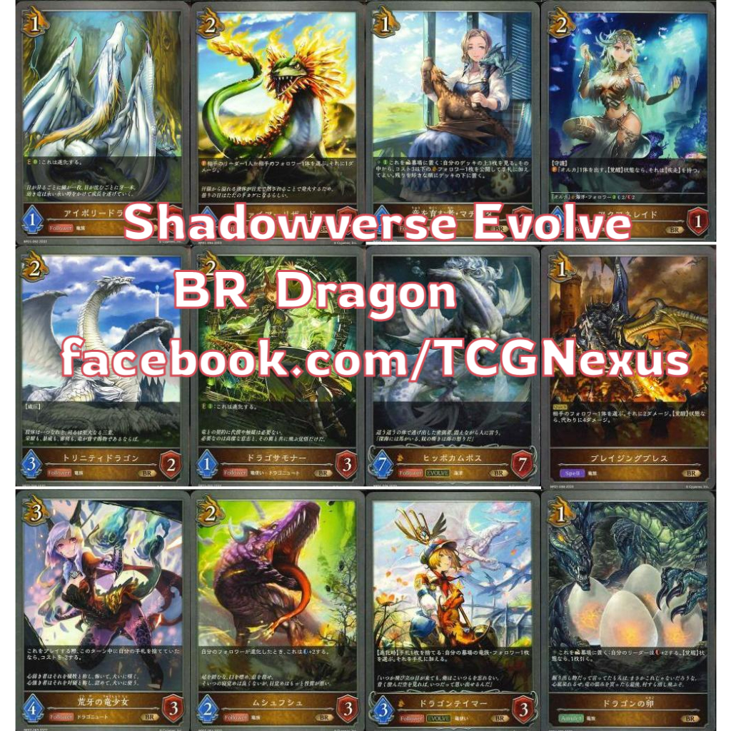 Shadowverse Evolve Single Card Dragon ระดับ BR [Dragon] [BR] [BP01 ...
