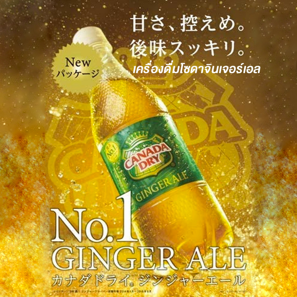 Coca-cola Canada Dry Ginger Ale เครื่องดื่มโซดาจินเจอร์เอล จากโคคาโคลา ...