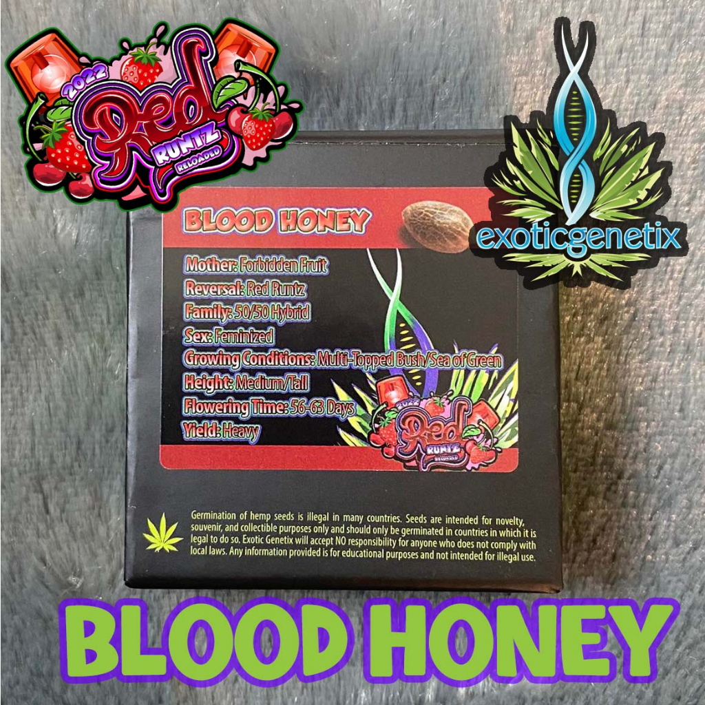 เมล็ดกัญชา Exotic Genetix Blood Honey Fem Cannabis Seeds (Pack of 6 ...