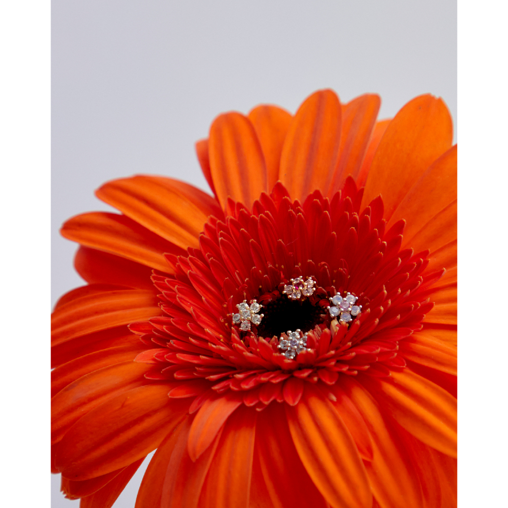 Julys - danny daisy earrings | Shopee Thailand