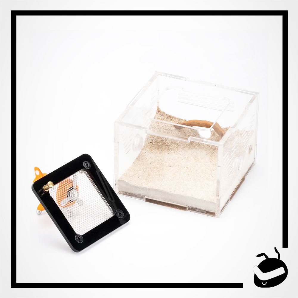 (ของแท้ นำเข้า) รังมด คอนกรีต/ทราย ยี่ห้อฟินดิกซ์ (Findix concrete/sand ...