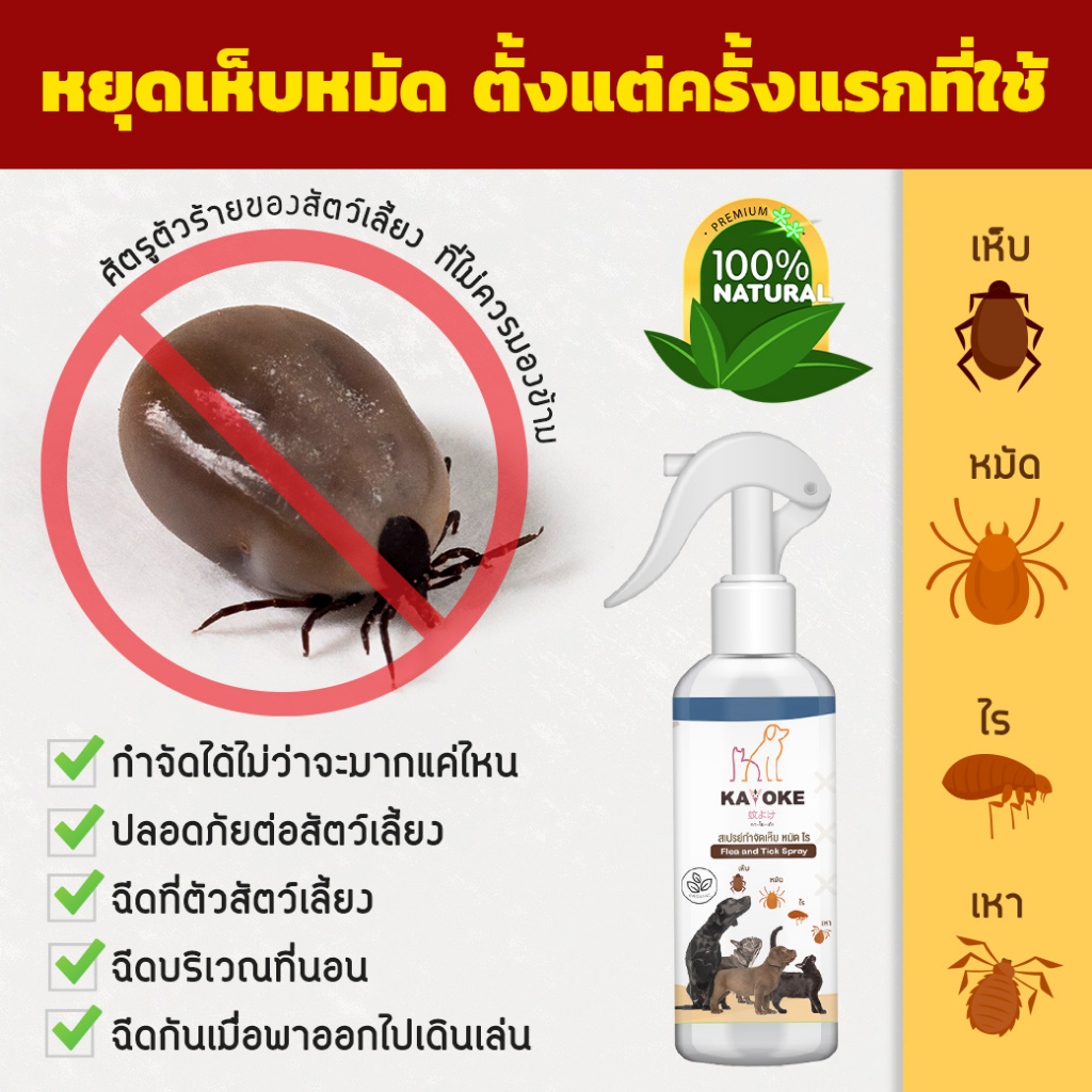 Kayoke (คาโยเกะ) สเปรย์กันยุง บำรุงขน แก้คัน เห็บหมัด สำหรับสัตว์เลี้ยง ...