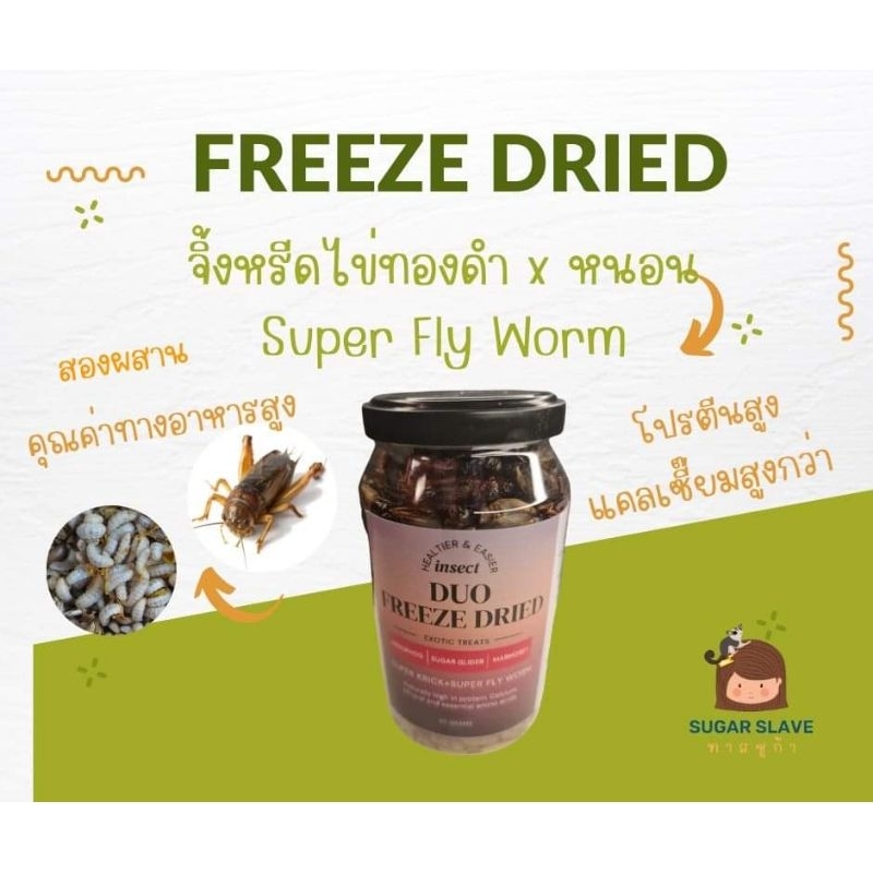 ล็อตใหม่ Super Duo- หนอน Super fly worm+จิ้งหรีดทองดำ ฟรีซดราย | Shopee ...