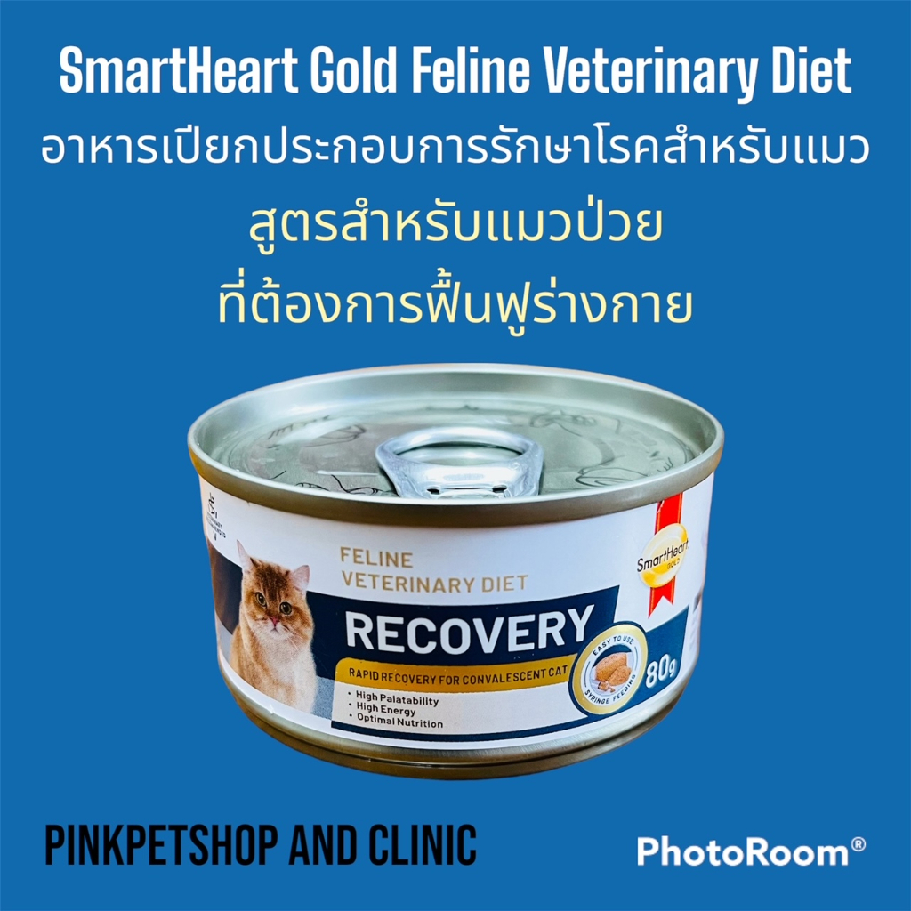 Smart Heart Gold VeterinaryDietRecovery อาหารเปียกประกอบการรักษาสำหรับ ...