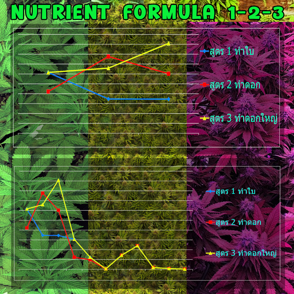 ปุ๋ยเร่งดอก ทำใบ Nutrients solution 420 สูตรทำใบ สูตรทำดอกและสูตรทำดอกใหญ่ ขนาด1000 ml | Shopee ...