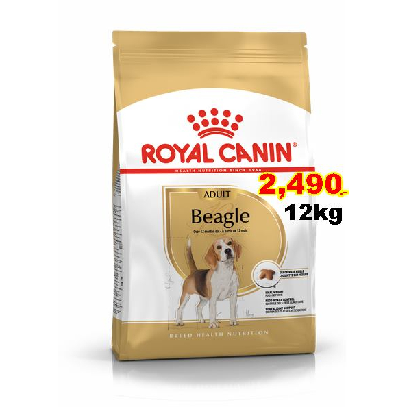 ROYAL CANIN BEAGLE ADULT 12 Kg | Shopee Thailand
