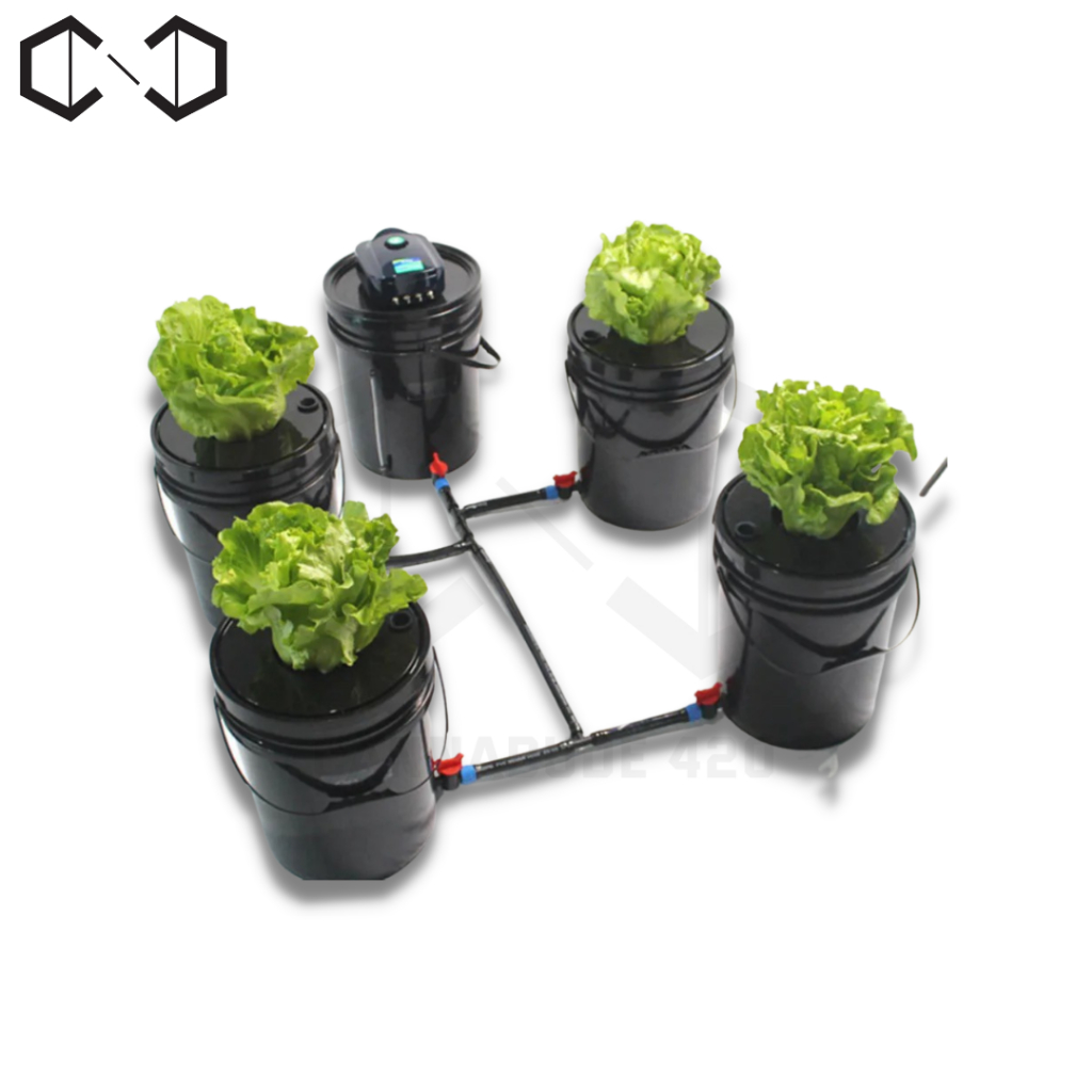 ชุดปลูกครบเซ็ท Hydroponic Grow System Deep Water Culture (DWC) Complete ...