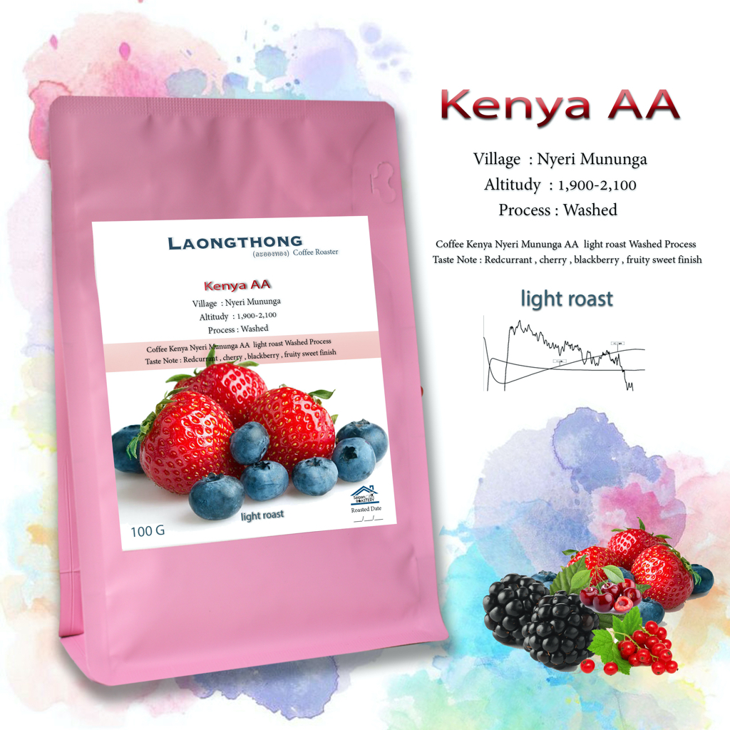 เมล็ดกาแฟเคนย่าKenyaAA(คั่วอ่อน)Village:Nyeri Mununga Altitudy:1,900-2 ...