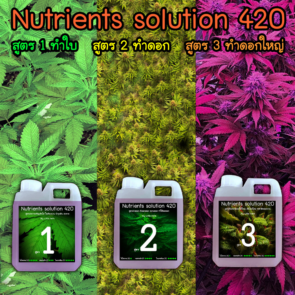 ปุ๋ยเร่งดอก ทำใบ Nutrients solution 420 สูตรทำใบ สูตรทำดอกและสูตรทำดอกใหญ่ ขนาด1000 ml | Shopee ...