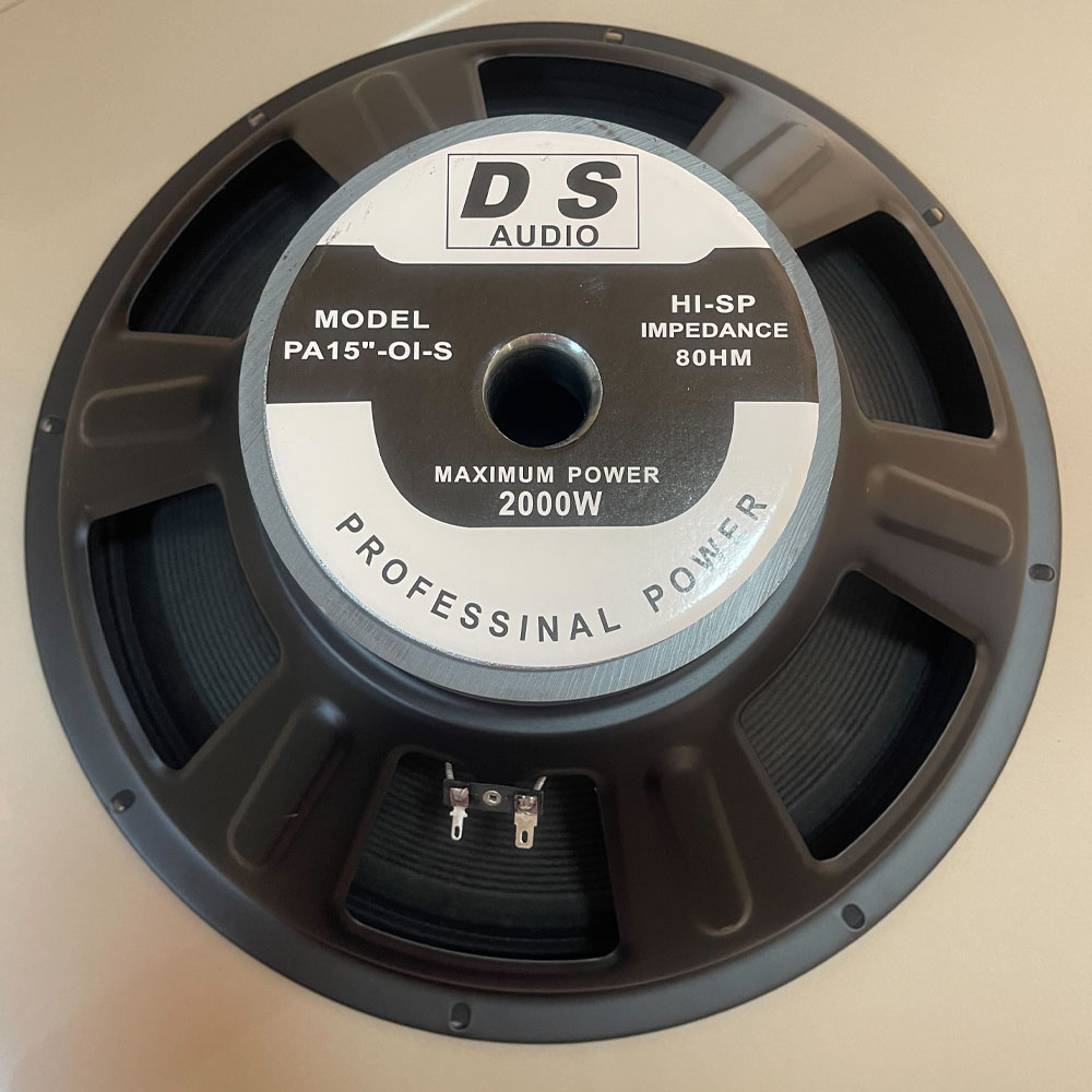 ดอกลำโพง 15" 8OHM 2000W แม่แหล็ก156มิล รุ่น DS audio PA15-OI-S(156) สำหรับ ตู้ลำโพงกลางแจ้ง (สี ...