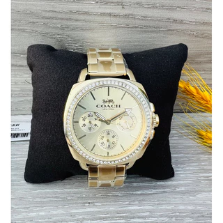 นาฬิกา coach ราคาพิเศษ | ซื้อออนไลน์ที่ Shopee ส่งฟรี*ทั่วไทย!