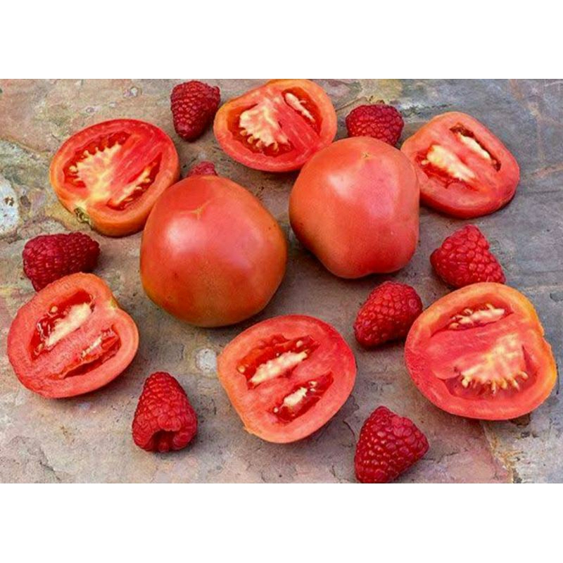 เมล็ดพันธุ์มะเขือเทศกลิ่นราสพ์เบอร์รี่ (Raspberry Lyanna Tomato Seed ...