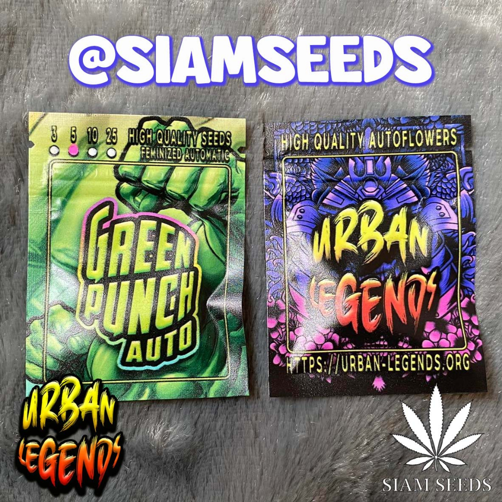 เมล็ดกัญชา Urban Legends Green Punch Auto Cannabis Seeds (Pack of 5 ...