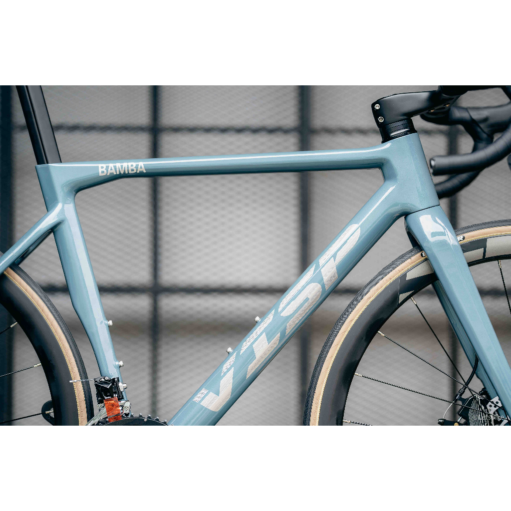 จักรยานเสือหมอบเฟรมคาร์บอน Visp Bamba Disc 2023 Gen3 | Shopee Thailand