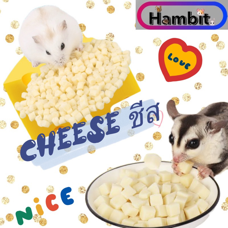 Hambit. ขนมชีส แฮมเตอร์ แคลเซียม ขนมสุขภาพดี แฮมเตอร์ เม่น ชินชิลล่า ชู ...