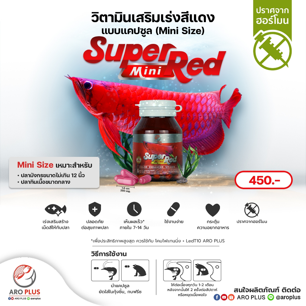 Super Red Mini วิตามินเสริมเร่งสีแดง แบบแคปซูลมินิ | Shopee Thailand