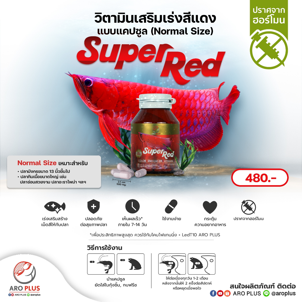 Super Red วิตามินเสริมเร่งสีแดง แบบแคปซูล | Shopee Thailand