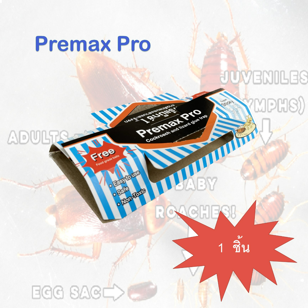 ผลิตภัณฑ์กำจัดแมลงสาบและจิ้งจก บ้านแมลงสาบ กาวดักแมลงสาบและจิ้งจก พรี ...