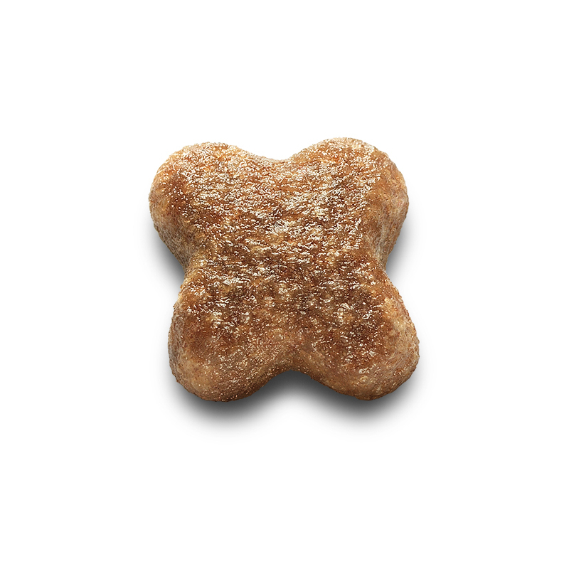 Smart heart gold cat food อาหารสำหรับแมวโตทุกสายพันธ์ ปริมาณ 1 กิโลกรัม ...