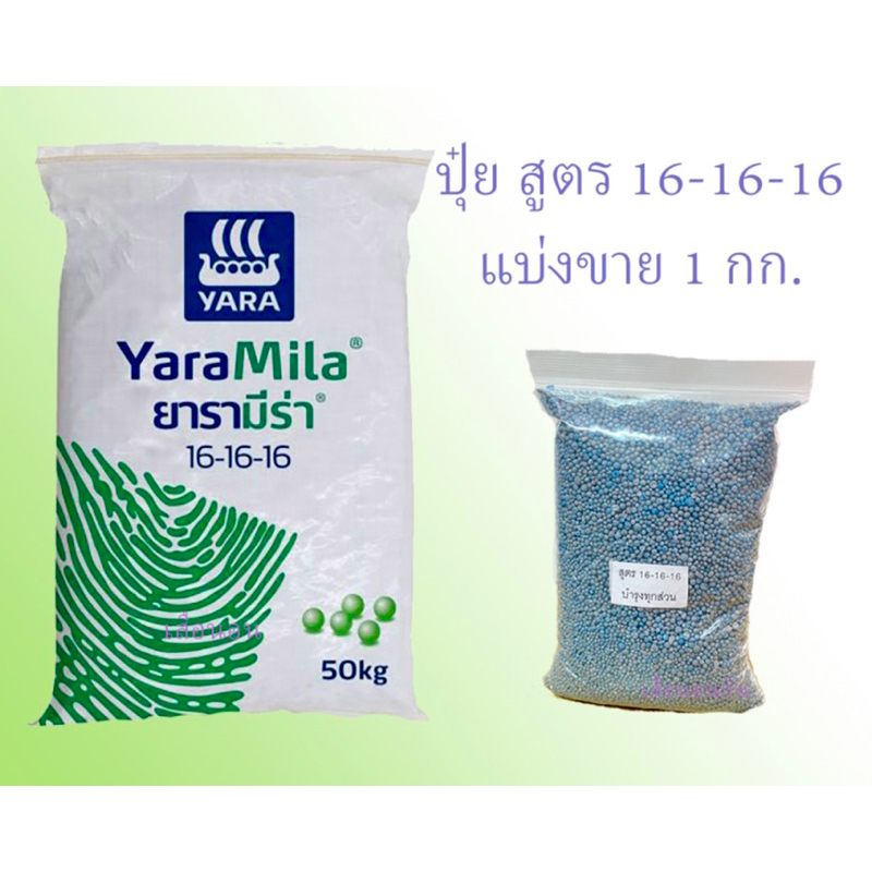 ปุ๋ย 16-16-16 ขนาด 1กก. | Shopee Thailand