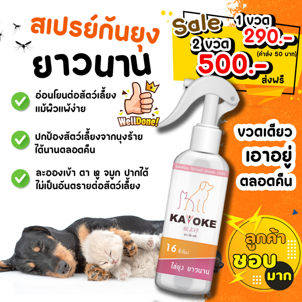 ซื้อครบ 490 กดรับของแถม ราคาพิเศษ KAYOKE สเปรย์ไล่ยุง สูตรอ่อนโยน ...