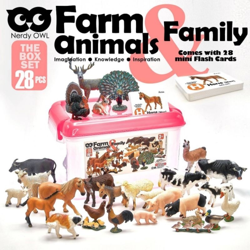 พร้อมส่ง โมเดลสัตว์ พร้อม แฟลชการ์ด Toy box set มี 5แบบ | Shopee Thailand
