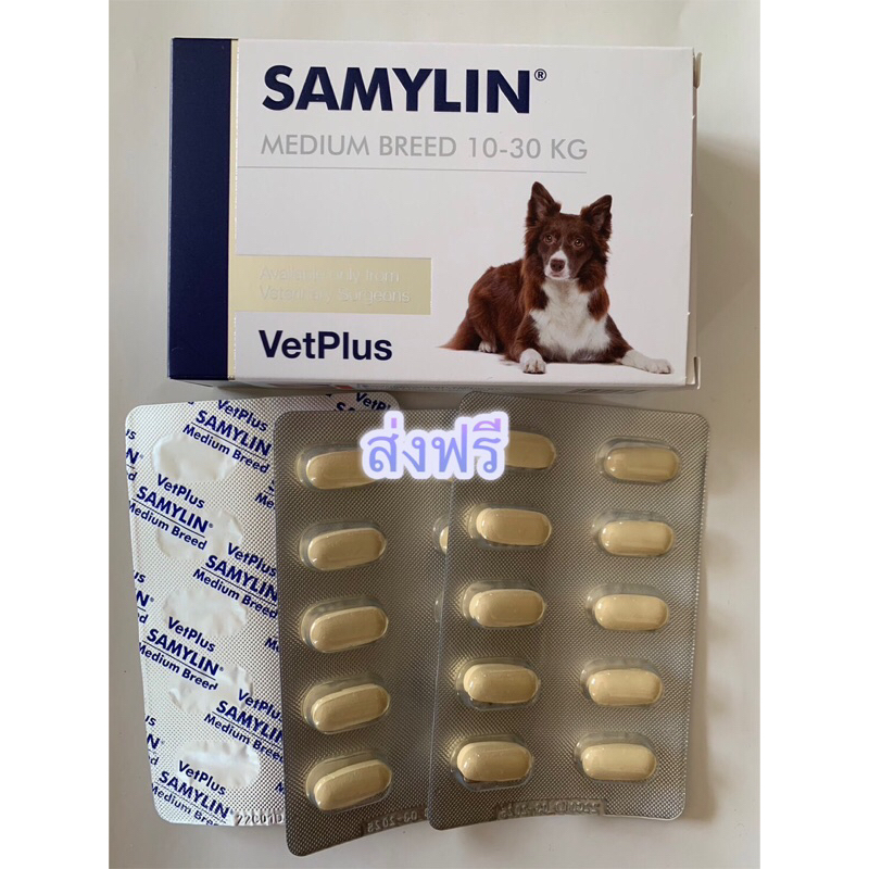 Samylin medium breed 10-30 KG วิตามินบำรุงตับสำหรับสุนัขขนาดกลาง ...