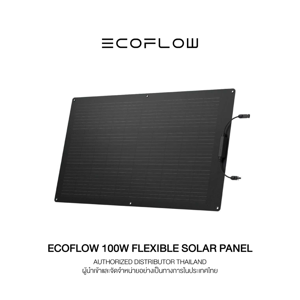 [สินค้าสมนาคุน] ECOFLOW 100W Flexible Solar Panels แผงโซลาร์เซลล์ โซลา ...