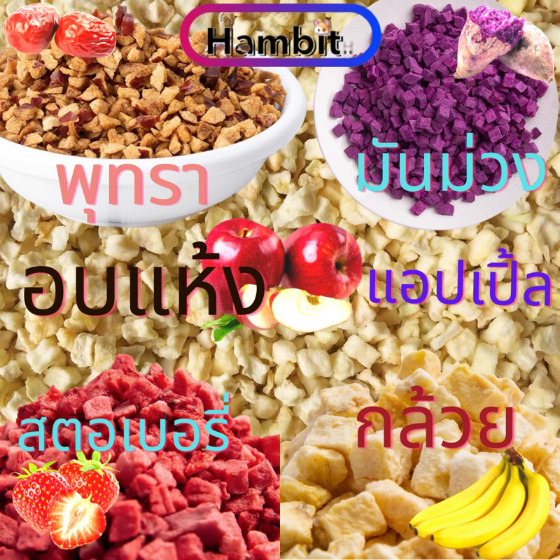 Hambit. ผลไม้อบแห้ง ขนาด 50 g. แฮมสเตอร์ขนม หนูแฮมเตอร์ กระต่าย กระรอก ...