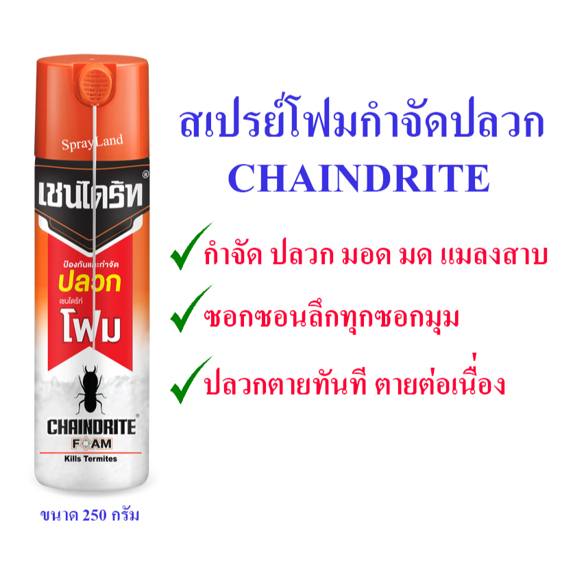 Chaindrite Foam สเปรย์ เชนไดร้ท์ โฟม สเปรย์ กำจัดปลวก ตายยกรัง ขนาด 250 ...