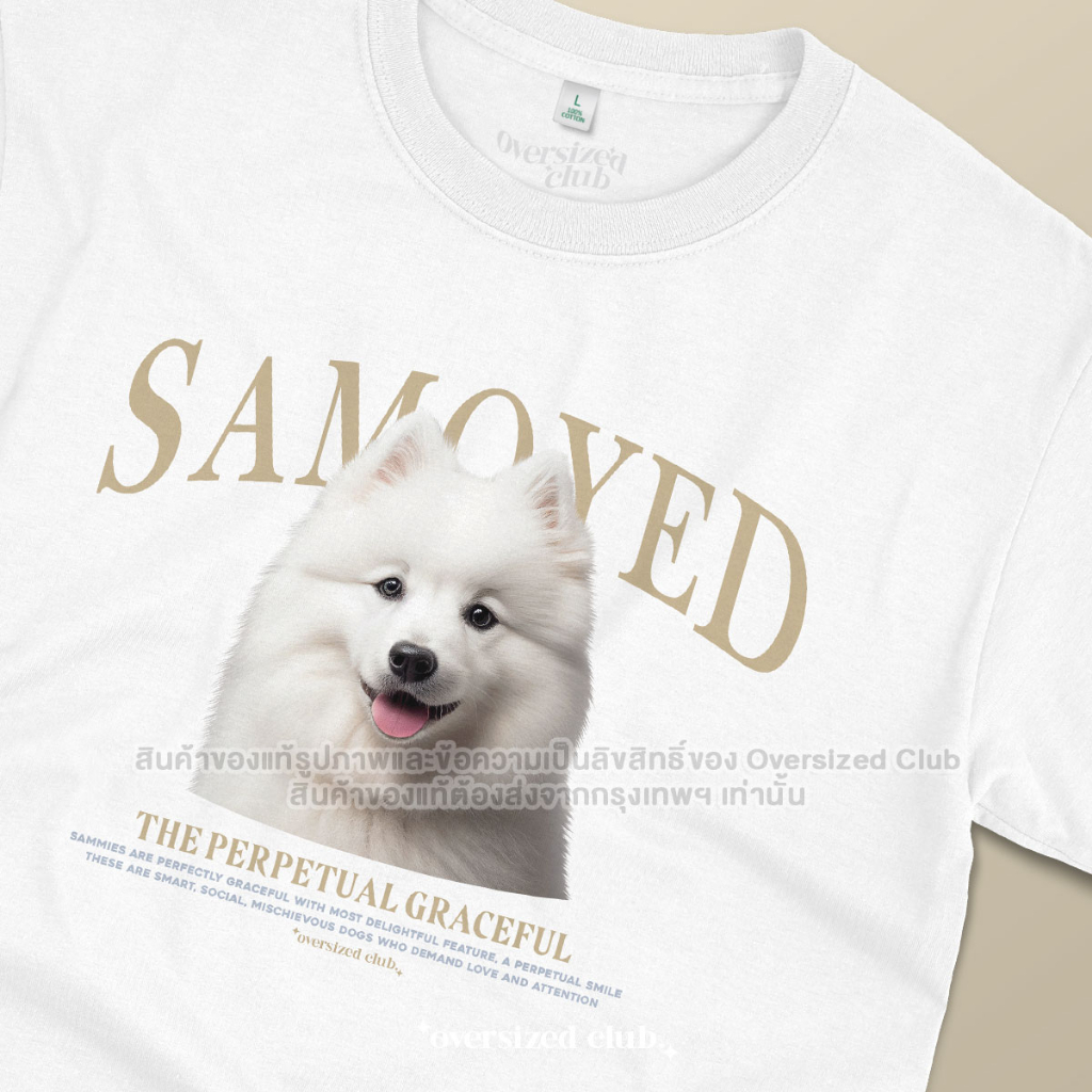 เสื้อยืดสกรีนลายน้องหมา Samoyed ซามอยด์ [Classic Cotton 100% by ...