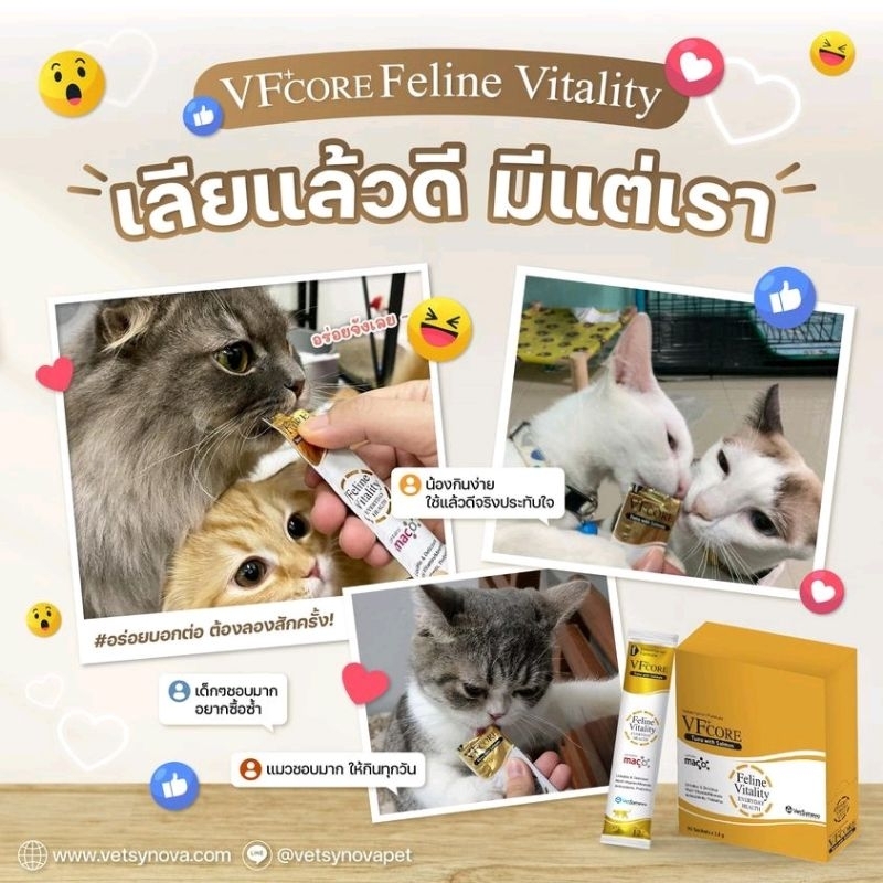 VFcore แบ่งขาย 1 ซอง อาหารเสริม ในรูปแบบคล้ายขนมแมวเลีย ทานง่าย VF core | Shopee Thailand