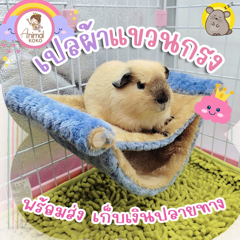 [Animal KOKO] 🎀เปลผ้า2ชั้น🎀 ติดกรง สัตว์เลี้ยง ชินชิล่า กระรอก ชูก้าไกล ...
