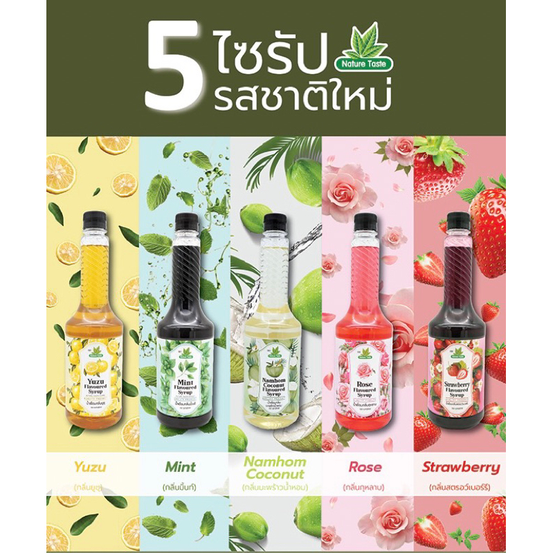 Nature Taste Flavoured Syrup น้ำเชื่อมไซรัป ตราเนเจอร์เทส 16 รสชาติ ...