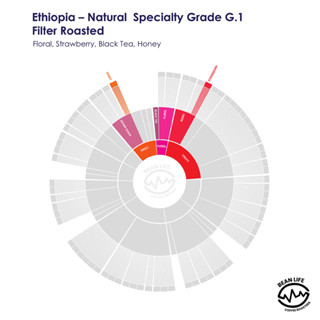 Ethiopia G1 Hambella Buku Abel - Natural (Medium Light Roasted) | Shopee Thailand