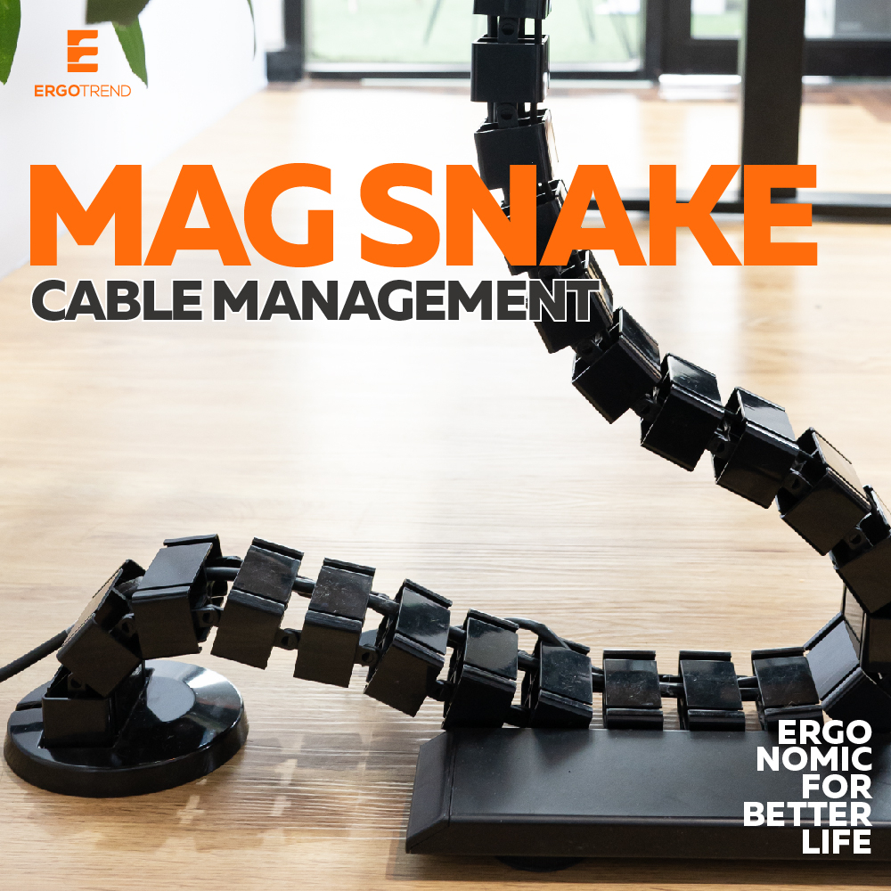 Ergotrend Mag Snake Cable Management (รางกระดูกงูเก็บสายไฟโต๊ะทำงาน ...