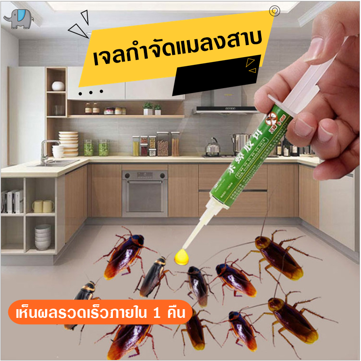 เจลกำจัดแมลงสาบ Roach doctor 1หลอด | Shopee Thailand