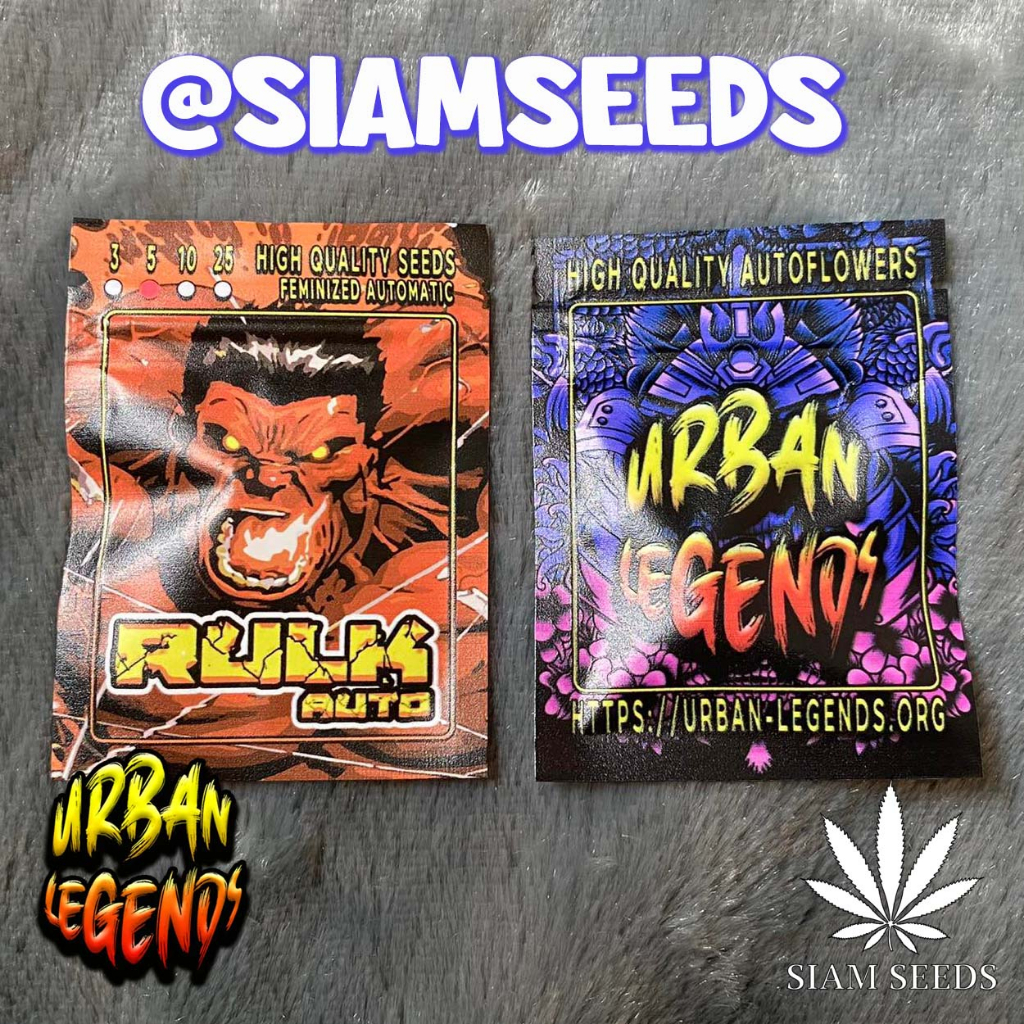 เมล็ดกัญชา Urban Legends Rulk (Red Hulk) Auto Cannabis Seeds (Pack of 5 ...