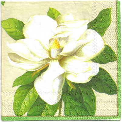 Pladao Napkin ภาพดอกไม้ ดอกแมกโนเลีย Magnolia ดอกใหญ่ กระดาษ แนพกิ้น สำหรับงานศิลปะ เดคูพาจ ...