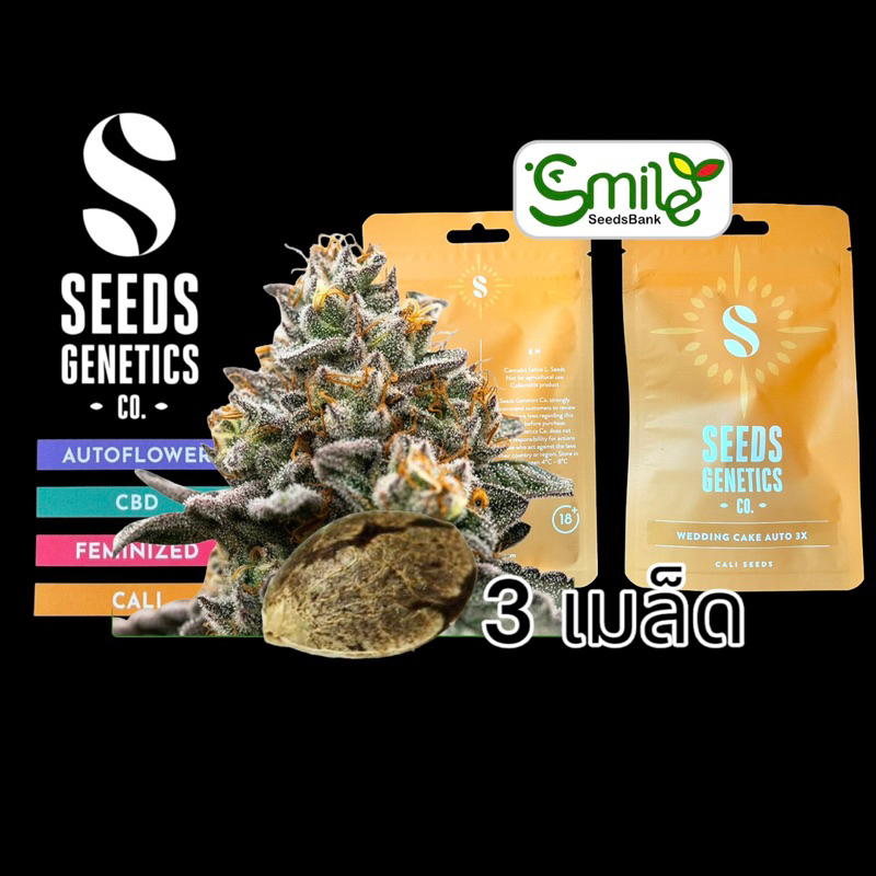 เมล็ดกัญชา Seeds Genetics.Co - Wedding Cake (Auto) | Shopee Thailand