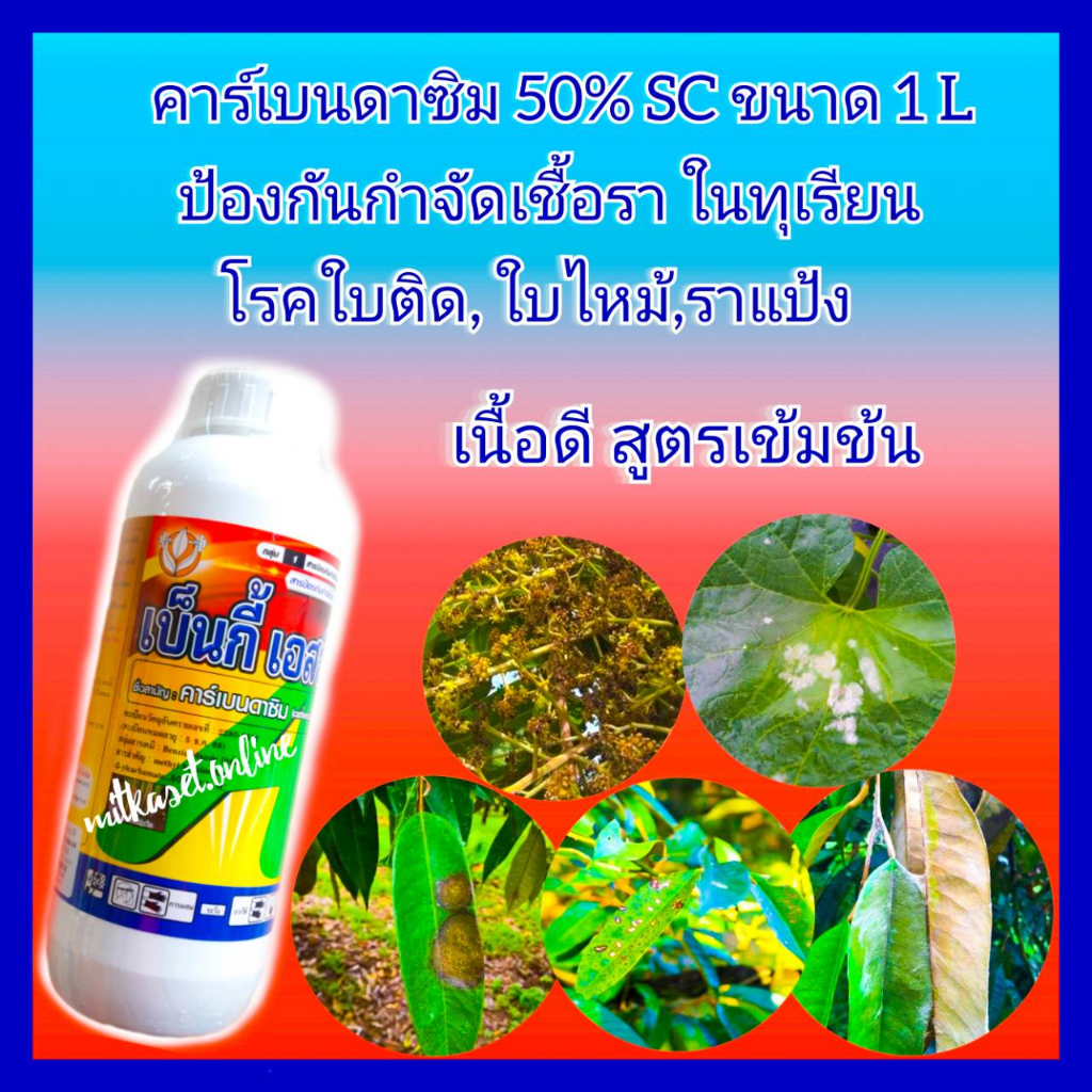 คาร์เบนดาซิม 50% SC กำจัดเชื้อราในทุเรียน กันเชื้อรา ขนาด 1 ลิตร ยา ...