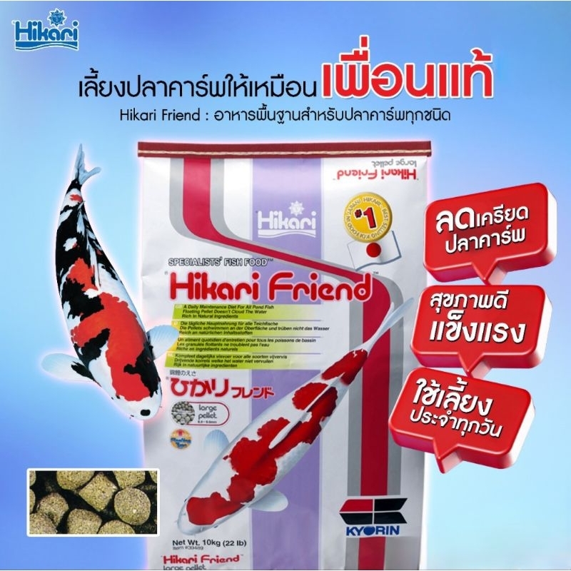 Hikari Friend 10 kg. เม็ด L | Shopee Thailand