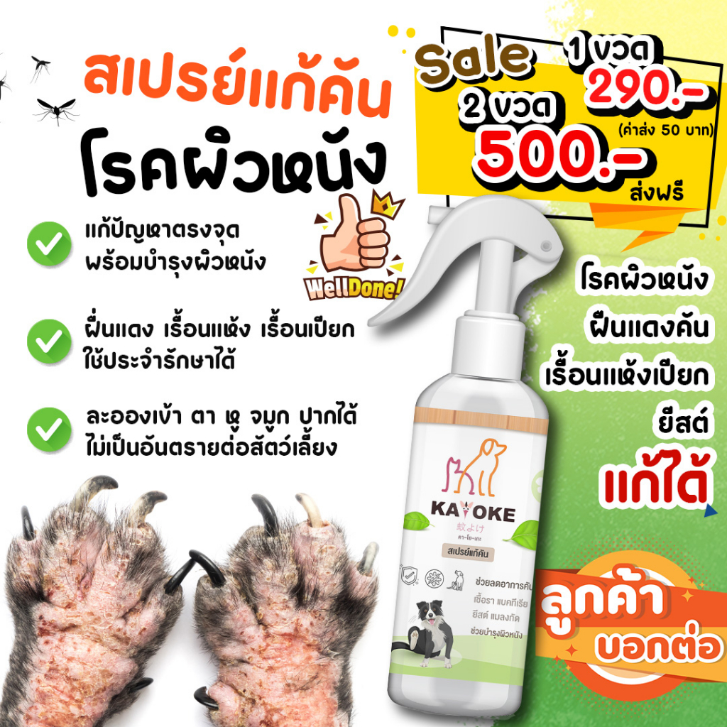 ขายดี เห็นผล🔥 Kayoke 🐶🐱สเปรย์ลดอาการคัน สูตร เข้มข้น🐱🐶 ยีสต์ เชื้อรา ...