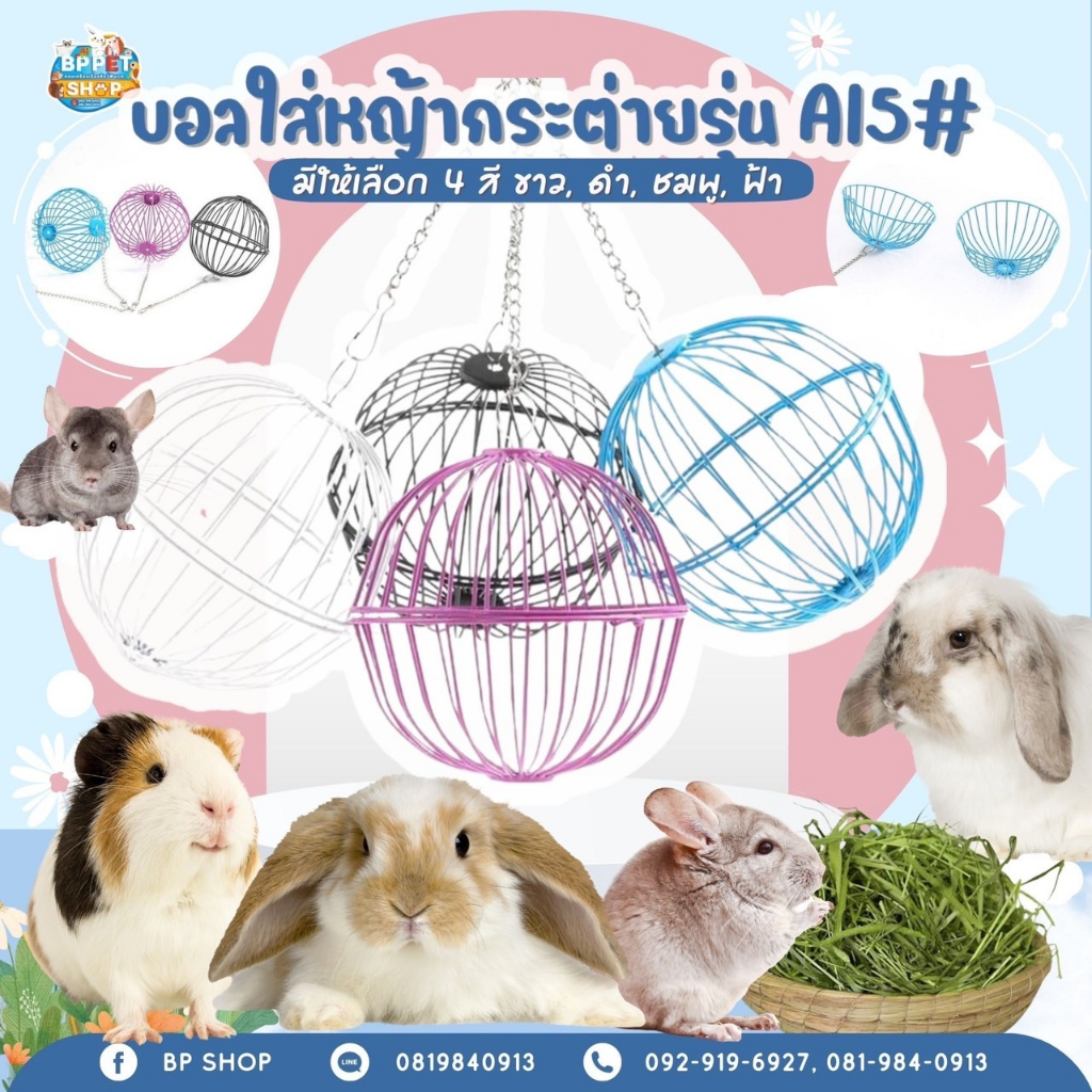 (IPshop) ลูกบอลใส่หญ้ากระต่าย สีพาสเทล ตะกร้อเหล็กใส่หญ้า Premium ที่ ...