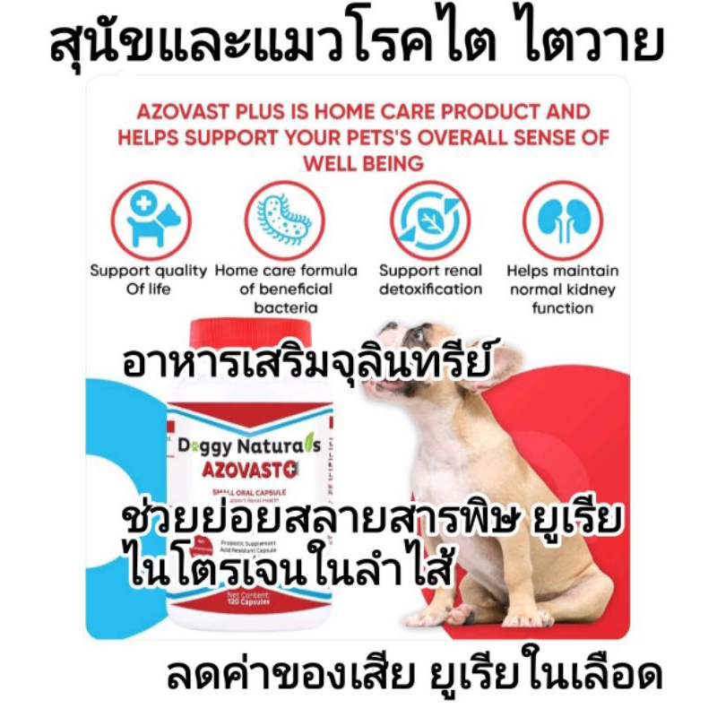 แบ่งขาย อาหารแมวโรคไต อาหารสุนัขโรคไต Azovast plus kidney health ...