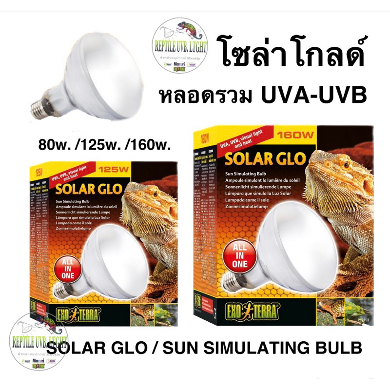 หลอดรวม UVA+UVB+ความร้อน หลอดจำลองแสงอาทิตย์ Solar Glo 80w. 125w. 160w และโคมไฟ | Shopee Thailand