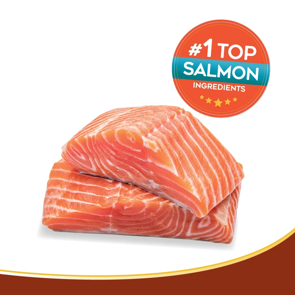 Kaniva Salmon 1.4 KG อาหารแมว สูตรเนื้อปลาแซลมอน ปลาทูน่าและข้าว บำรุง ...